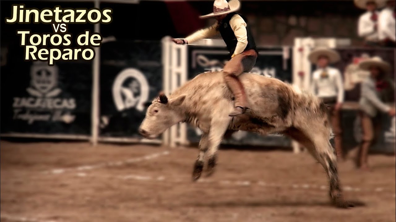 Compilatorio Jineteo de Toro 06 - Adictos al Peligro - Las mejores ...