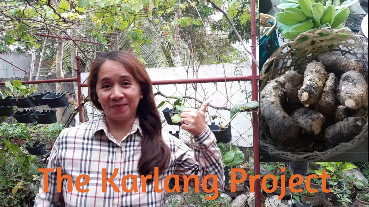 The Karlang Project - YouTube
