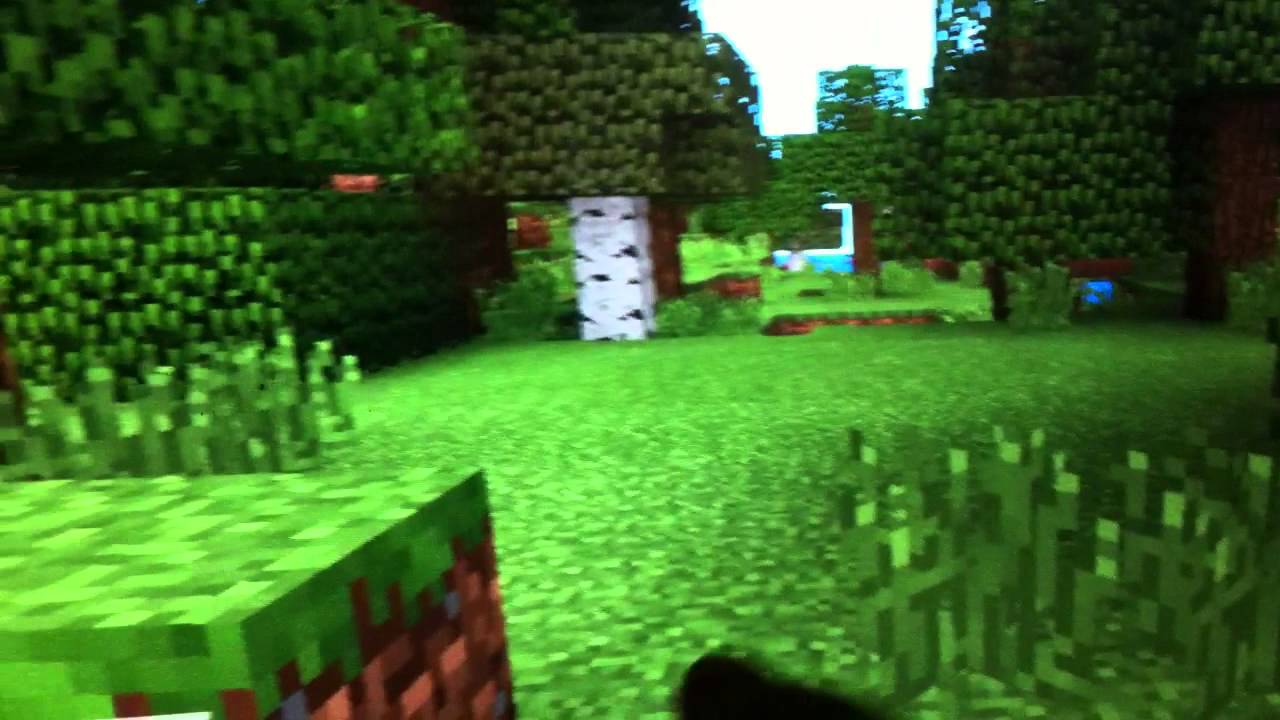 minecraft 5 day survival - YouTube