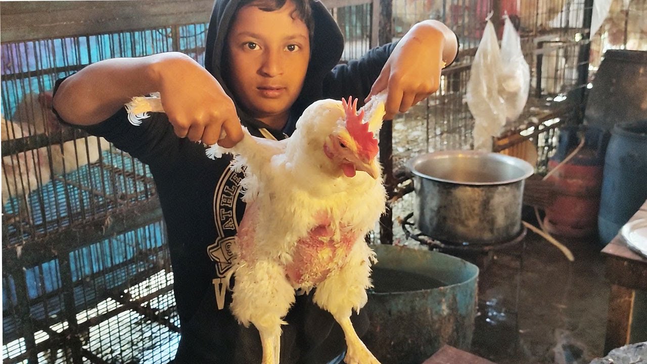 Most THE Child Unique Chicken Cutting Skills - YouTube