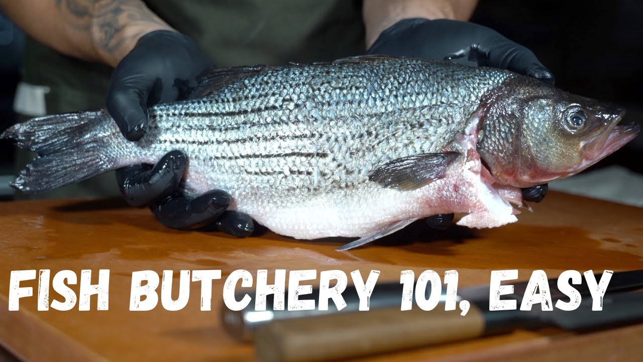 HOW TO BUTCHER A FISH - YouTube