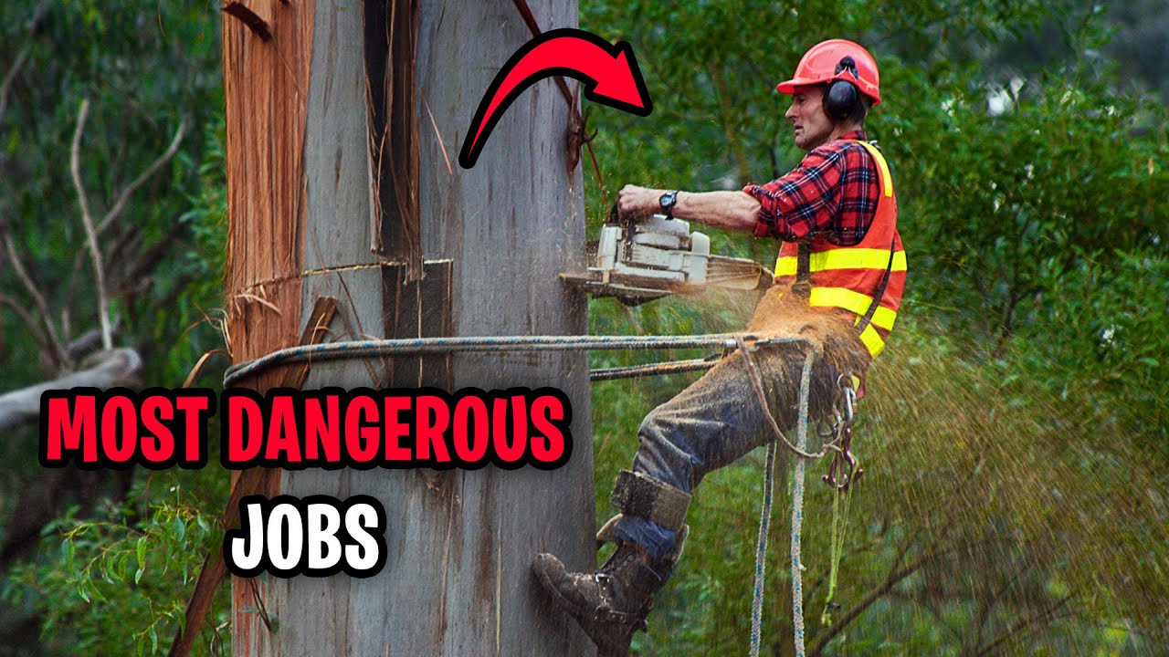 10 Most Dangerous Jobs in the World. Are You Brave Enough to Take One ...