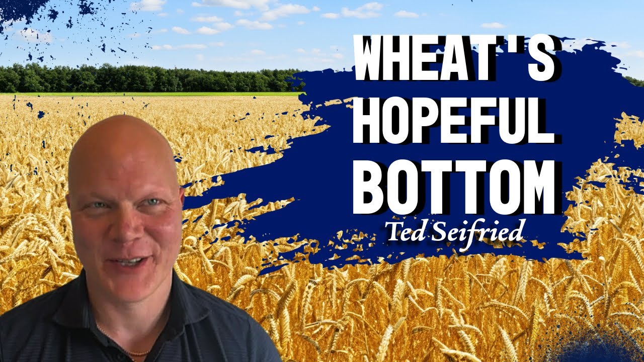 Wheat's Hopeful Bottom: Ted Seifried on RFD-TV - YouTube