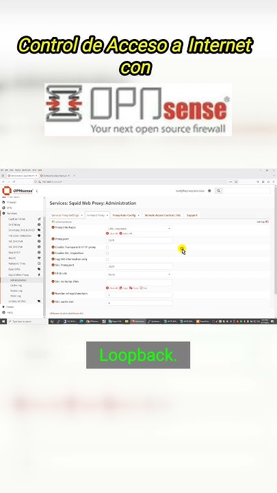 Importante Aprender como Configurar un Web Proxy con Opnsense - YouTube