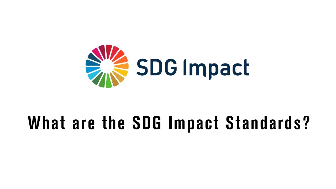 What are the SDG Impact Standards? - YouTube