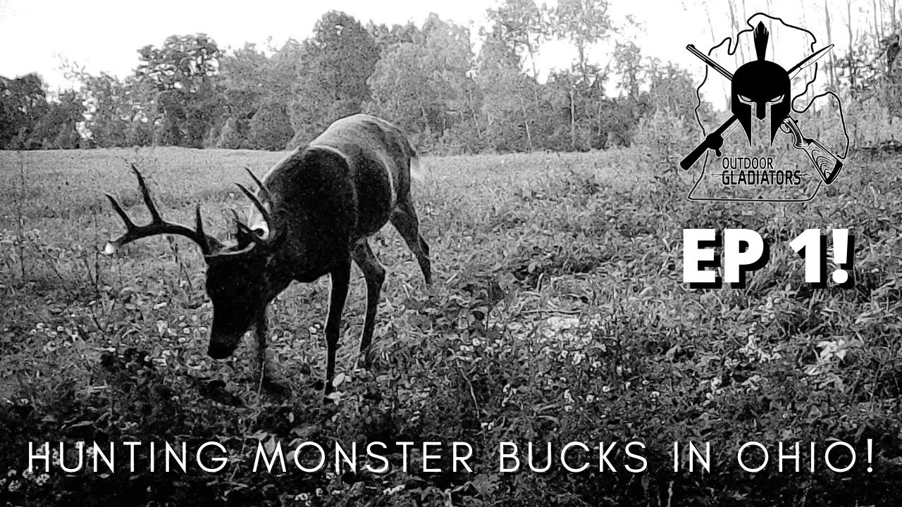 HUNTING MONSTER BUCKS IN OHIO! - YouTube