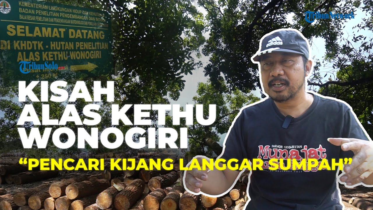 Kisah Alas Kethu Wonogiri: Berawal dari Pencari Kijang Utusan Kerajaan ...