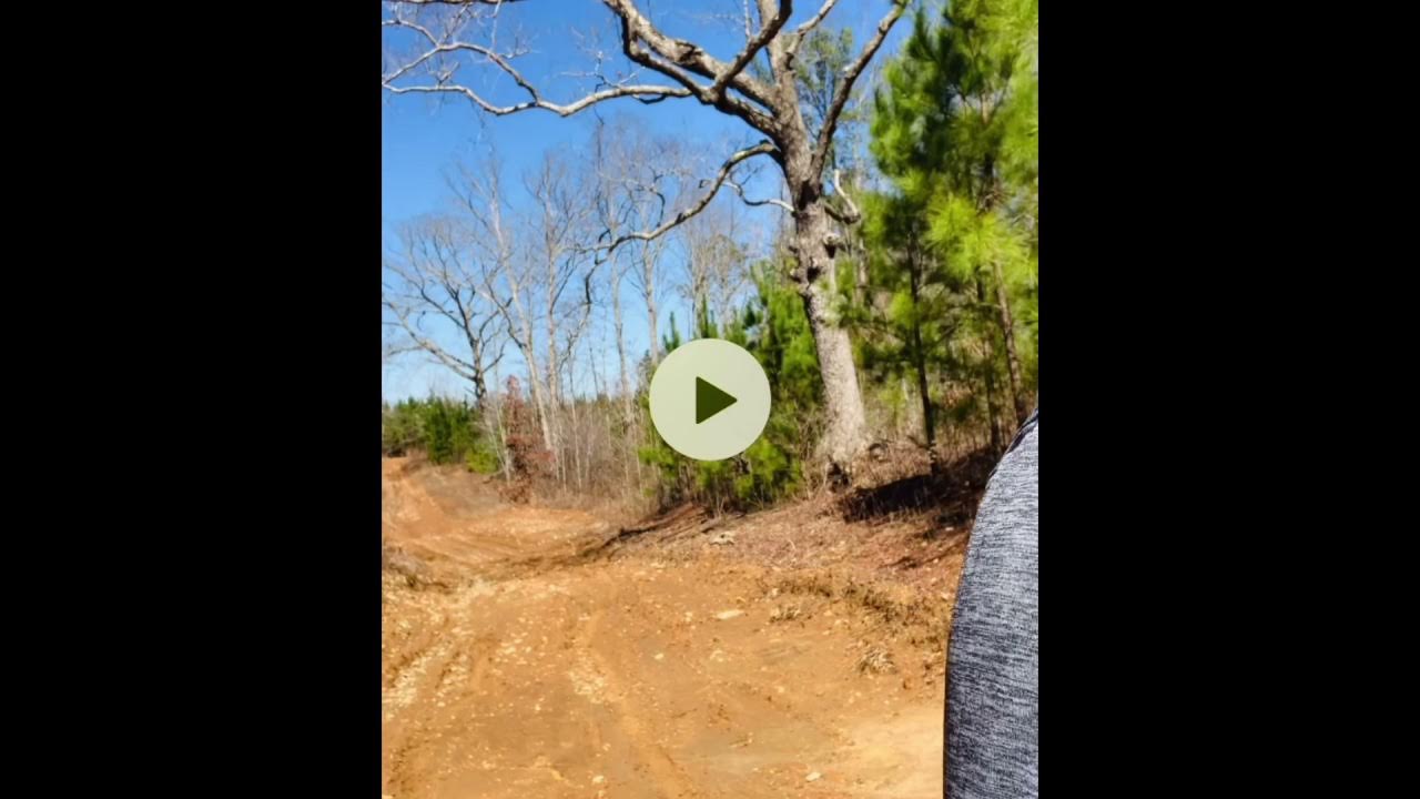 Sasquatch Crossing Road Zoomed in and Comparison Shots Taken - YouTube