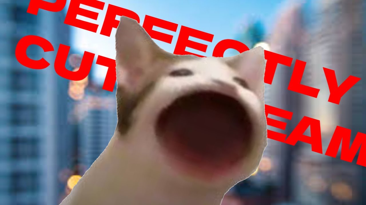 PERFECTLY CUT SCREAMS 1 - YouTube