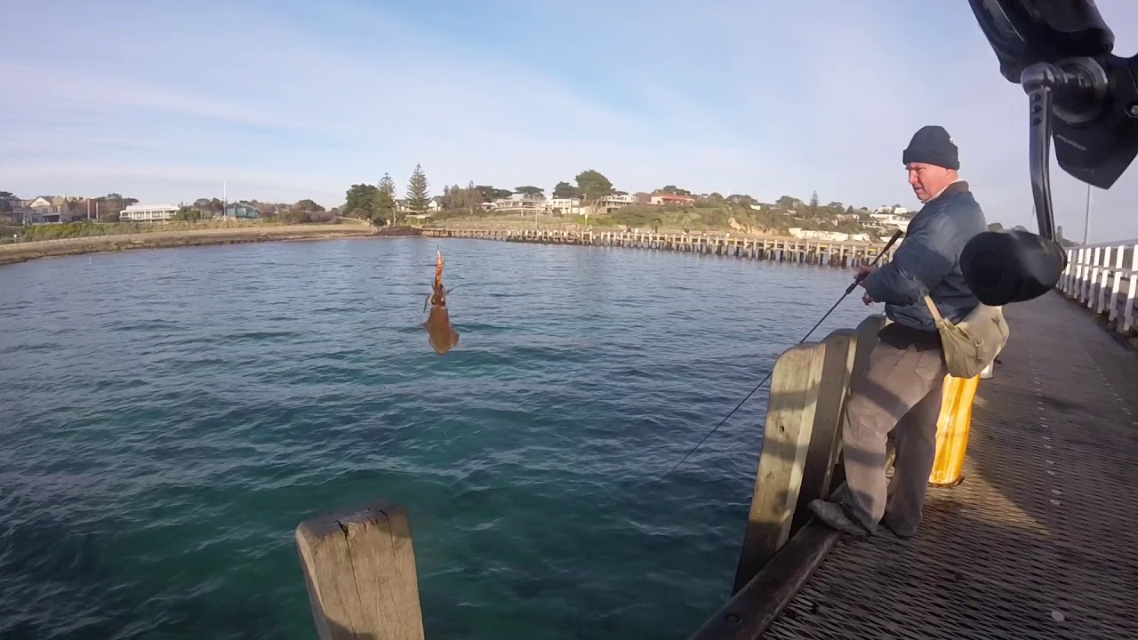 Squid Fishing (Bagged Out) - YouTube