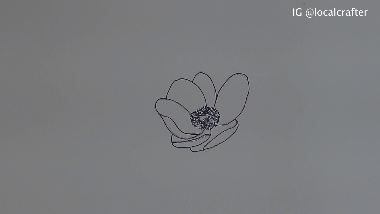 How to draw Anemone - YouTube
