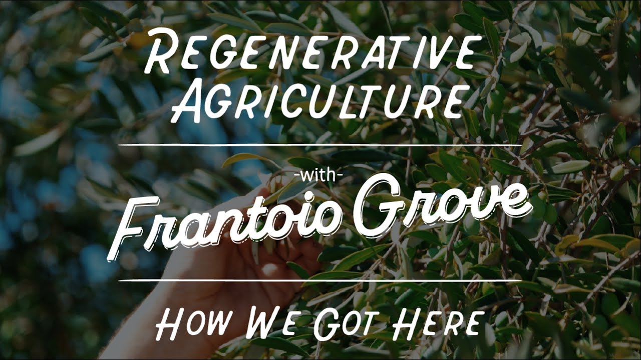 Regenerative Agriculture with Frantoio Grove: How We Got Here - YouTube