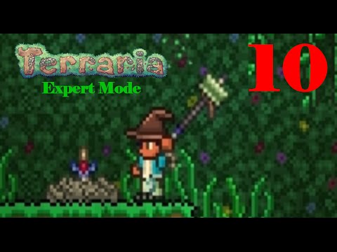 Terraria Expert Mode Highlights- 10: The Lumberjack - YouTube