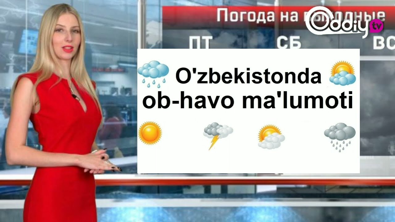 Ob havo | об хаво январ- феврал (2022) - YouTube