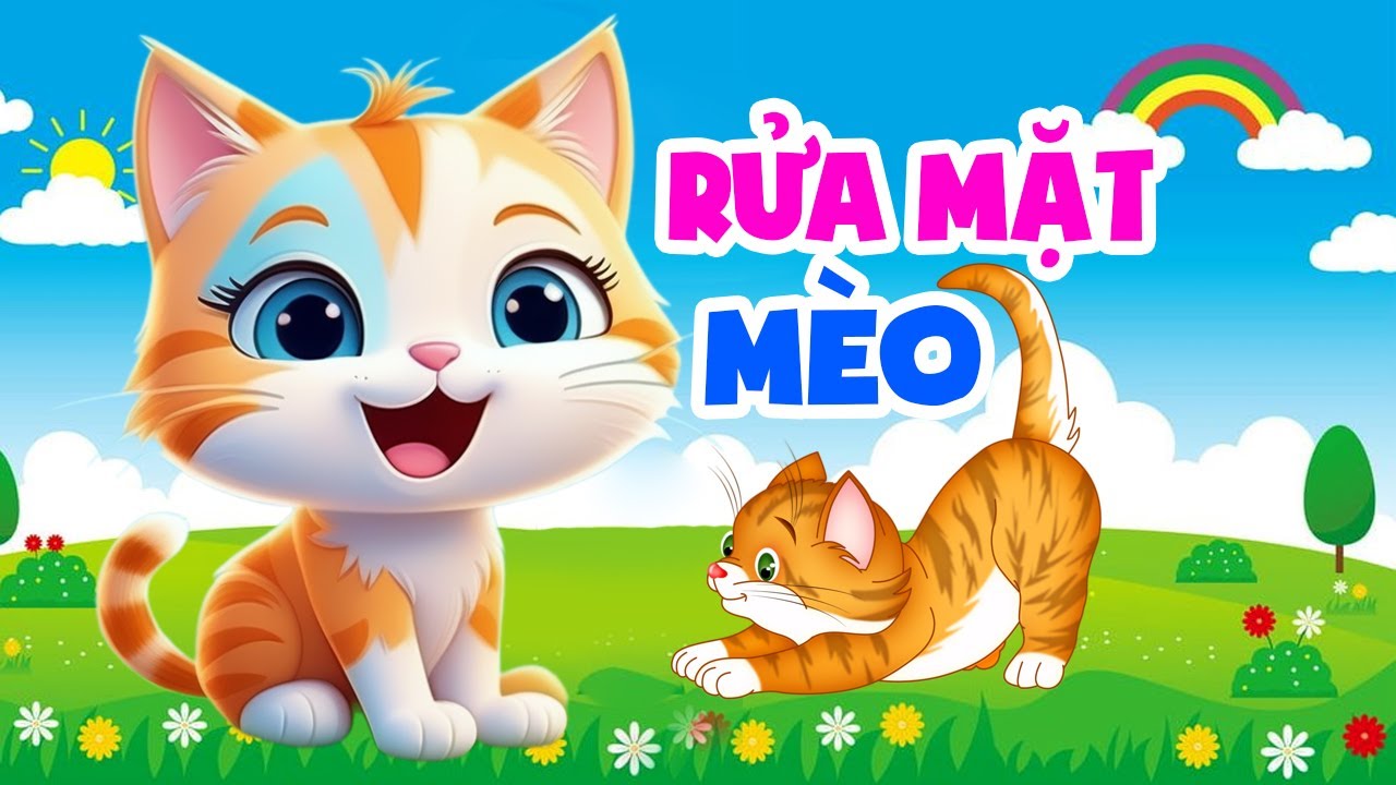 Rửa Mặt Như Mèo 😺 Nhạc Thiếu Nhi Rửa Mặt Như Mèo 😽 Hoạt hình Con Mèo 😽 ...