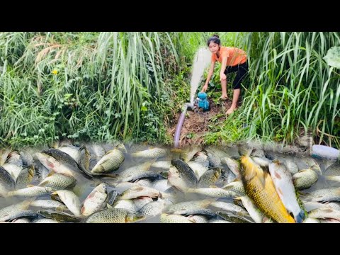 Unique Fishing | Catch more fish in a puddle by using a pump to drain ...