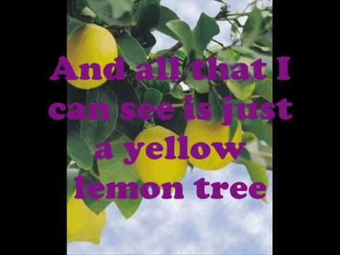 lemon tree (with lyrics) (subtitulos en esp) - YouTube