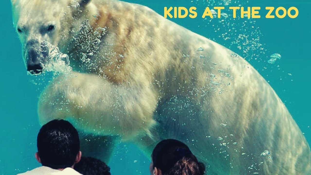 Kids At The Zoo, funny kids and fails compilation video 2020 ~ Animal ...