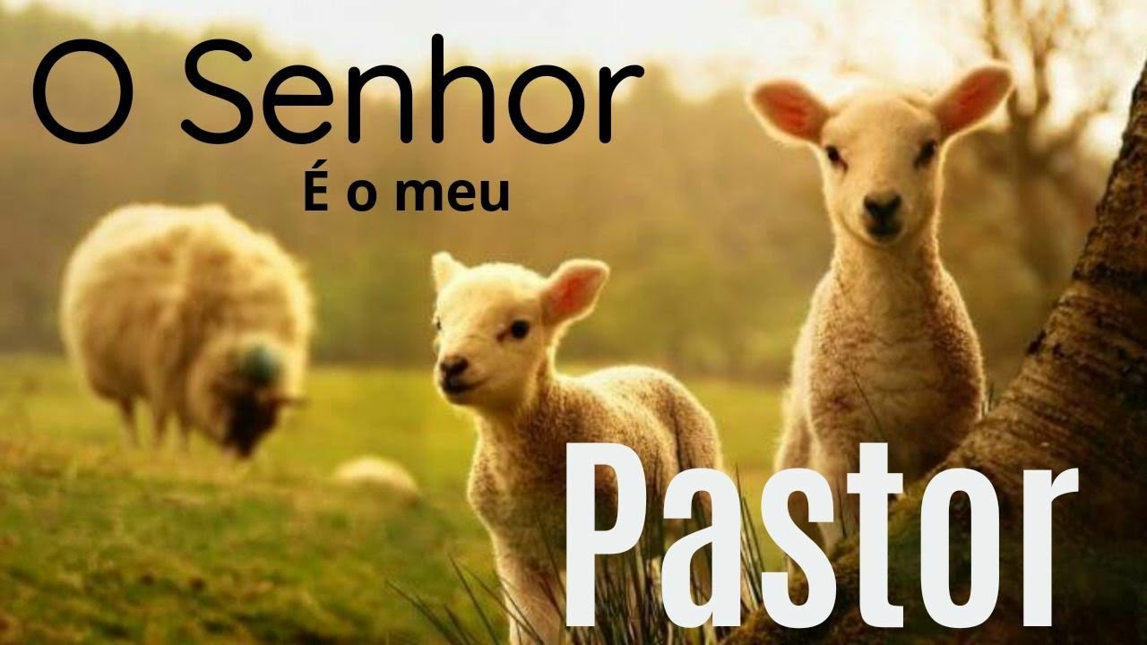 O Senhor É O Meu Pastor🐑🐑 Oração Da Noite - YouTube