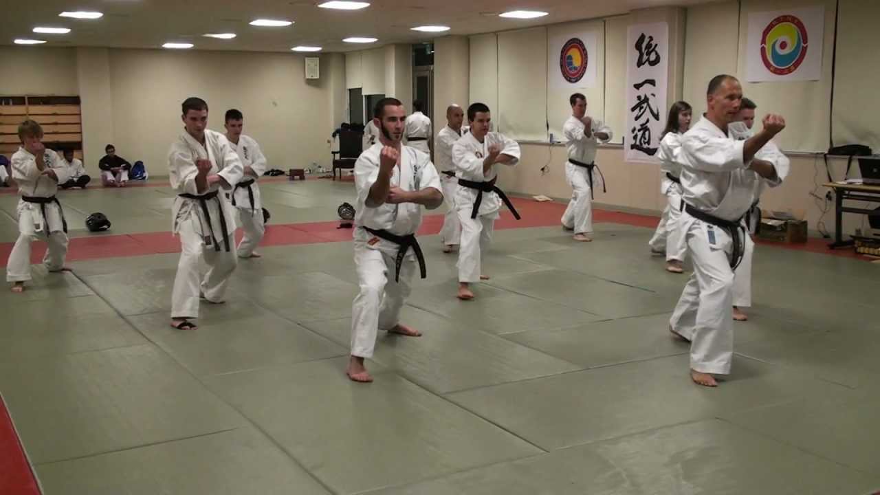 Tong-Il Moo-Do Team Germany Korea 2012.mpg - YouTube