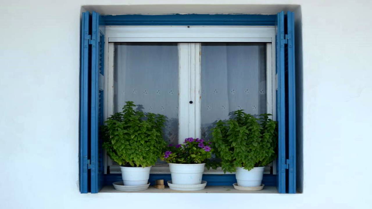 Βασιλικός θα γίνω στο παραθύρι σου - Κώστας Τζίμας - YouTube
