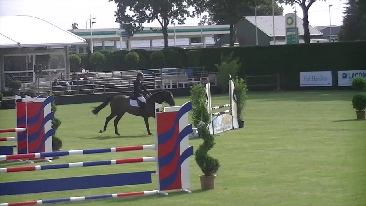 Gringo, 4 years old stallion Catoki x Tolan - YouTube