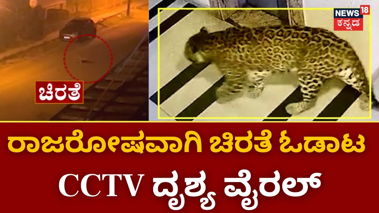 Leopard Rescue In Bengaluru | ಬೆಂಗಳೂರಿನಲ್ಲಿ ದೂರವಾಗಿಲ್ಲ ಚಿರತೆ ಆತಂಕ ...