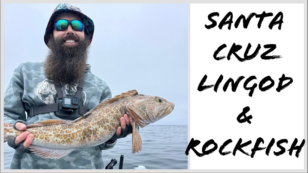 Santa Cruz Rockfish and Lingcod Fishing - YouTube
