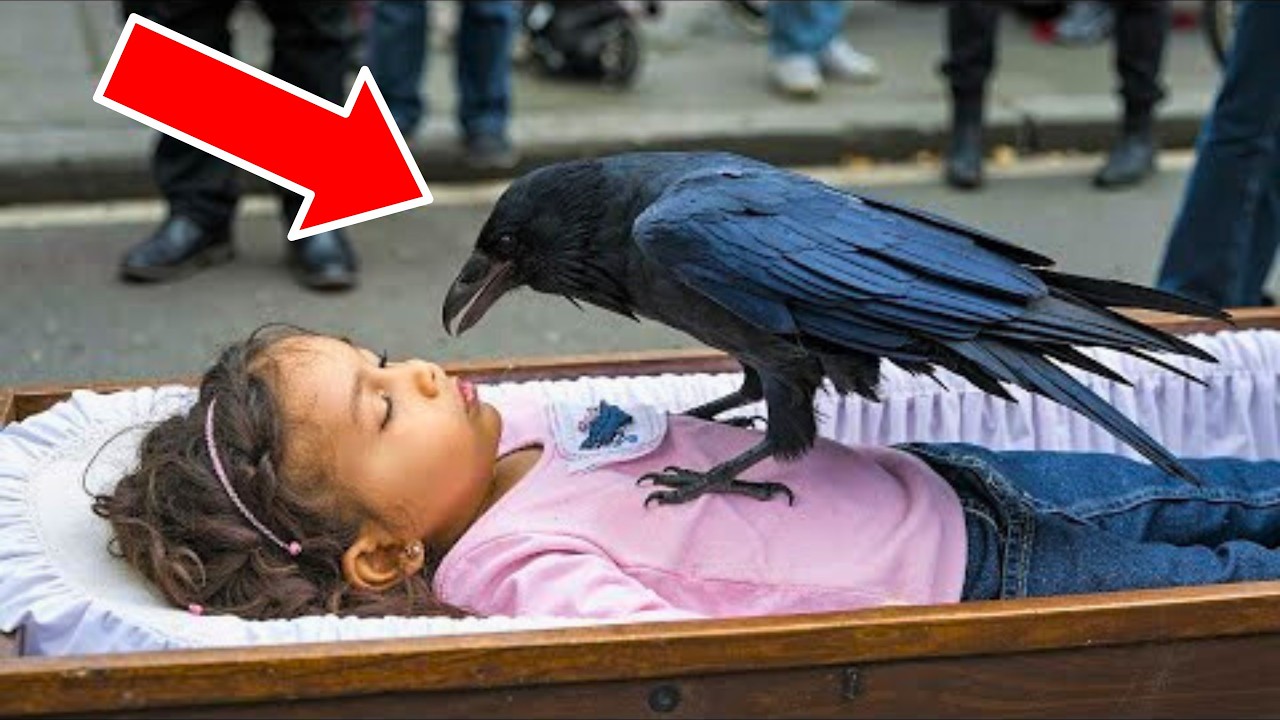 DURING THE FUNERAL, A RAVEN LANDED ON THE LITTLE GIRL'S COFFIN... AND ...