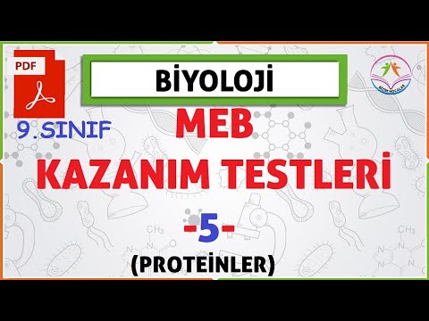 9. sınıf MEB Biyoloji kazanım kavrama testleri-5- (Proteinler)