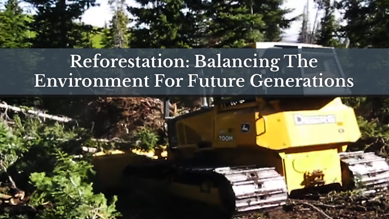 Reforestation: Balancing The Environment For Future Generations - YouTube