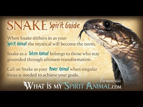 Snake Power Animal Symbol Of Death Rebirth Eternity Mysteries Of Life ...