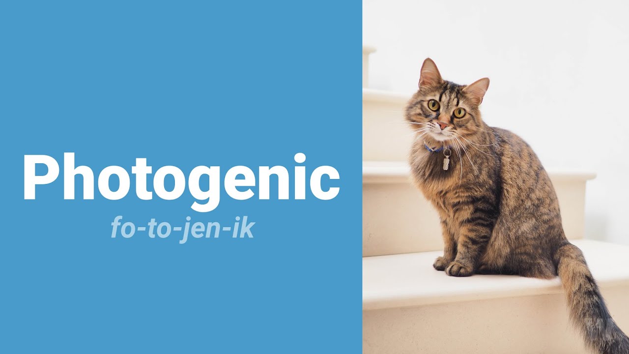 How to Pronounce Photogenic? - YouTube