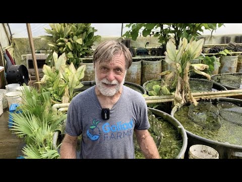 Day 13 of Recovery - SCUDS! - Everything you want to know - YouTube