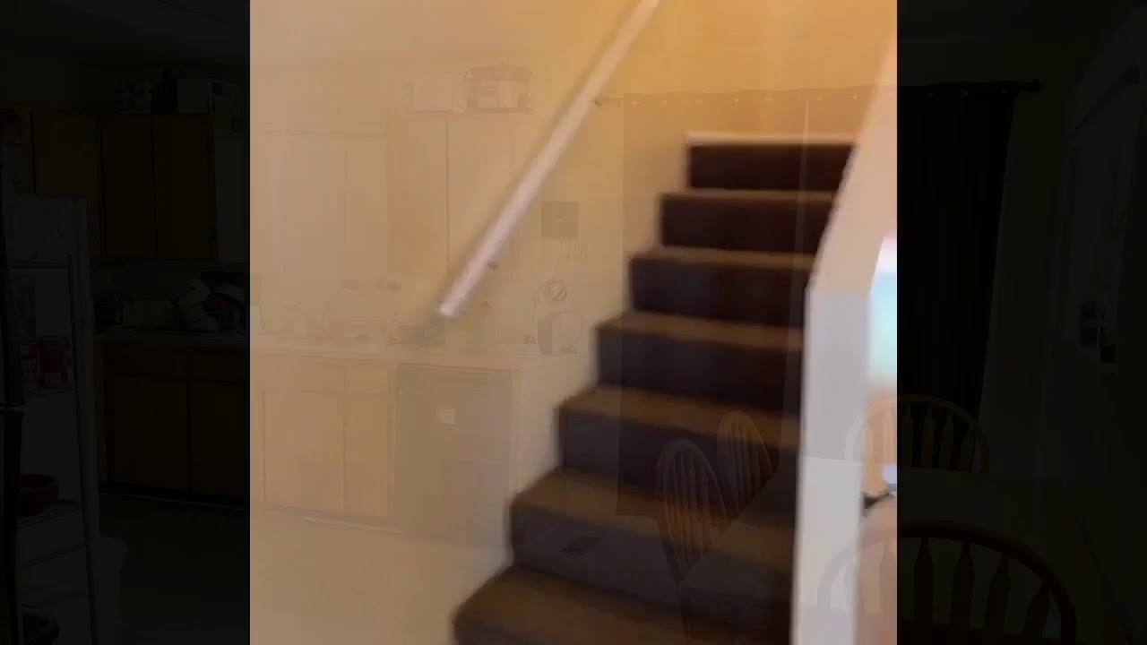 One Room Left. Provo Housing - YouTube