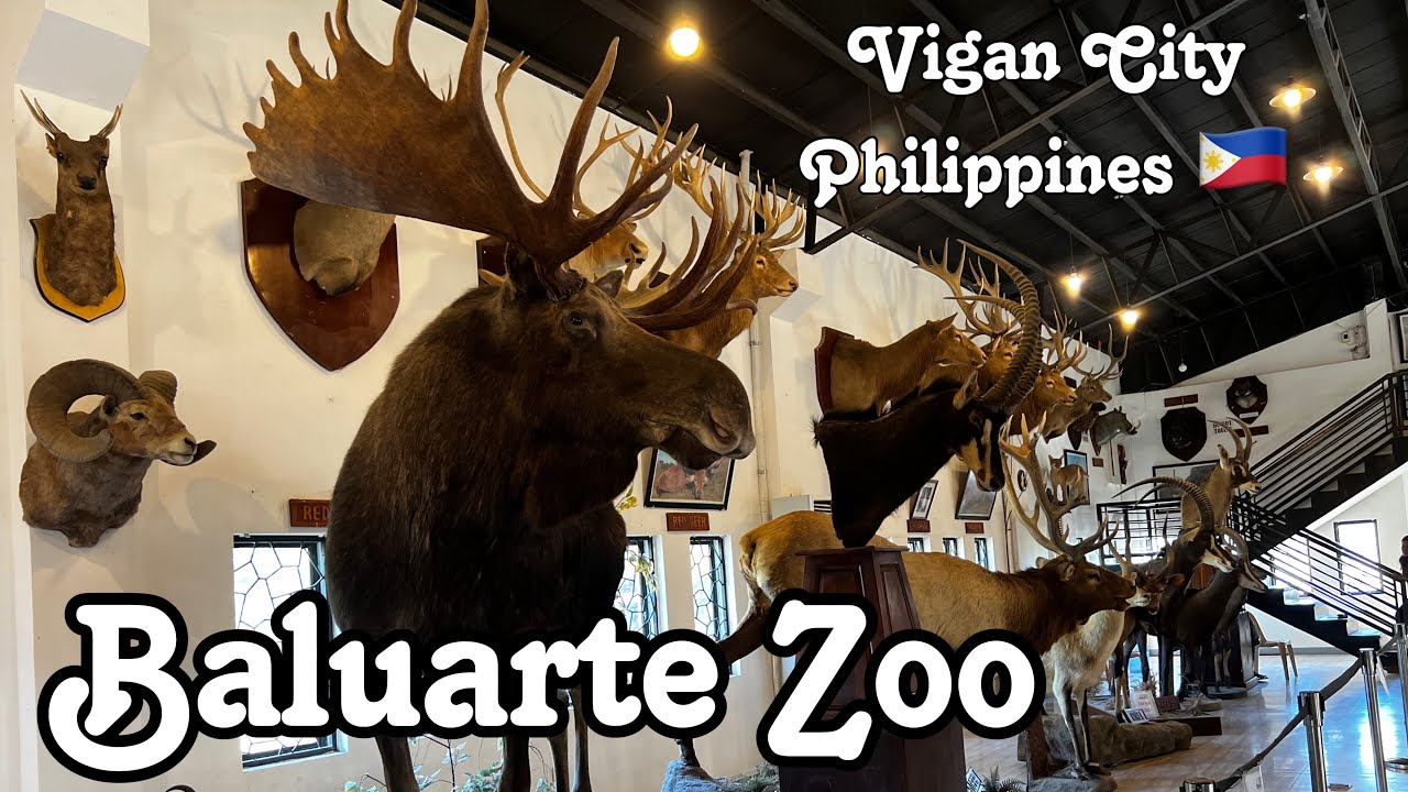 Baluarte Zoo l Vigan Ilocos Sur Philippines 🇵🇭 - YouTube