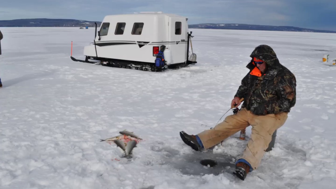 Ice Fish, Baby - YouTube