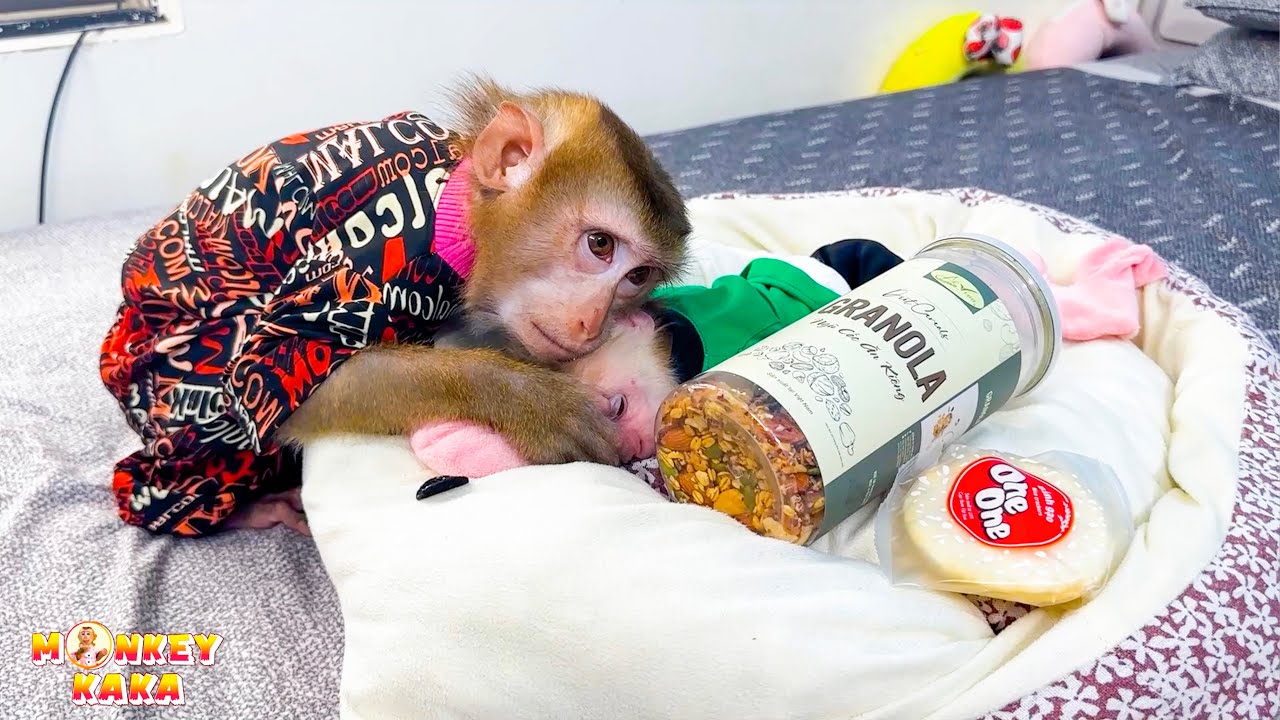 Monkey Kaka was sad when he saw Monkey Mit stop eating - YouTube