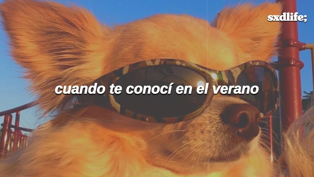 la canción que dice “wenamechainsama”☀️ - YouTube