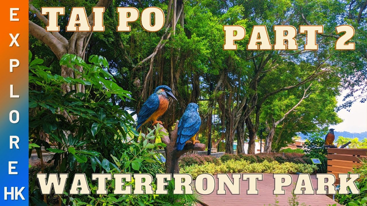 Tai Po waterfront park|park in hong kong|attractions hk| - YouTube