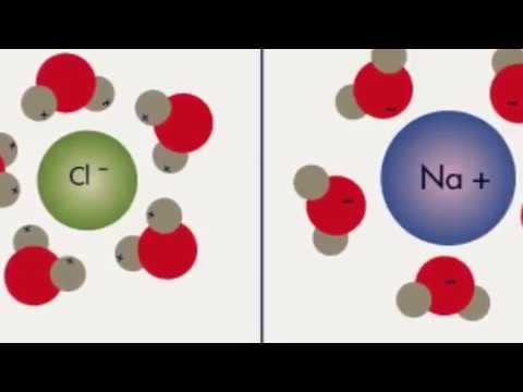 REACCION DE COMPLEJACION - YouTube