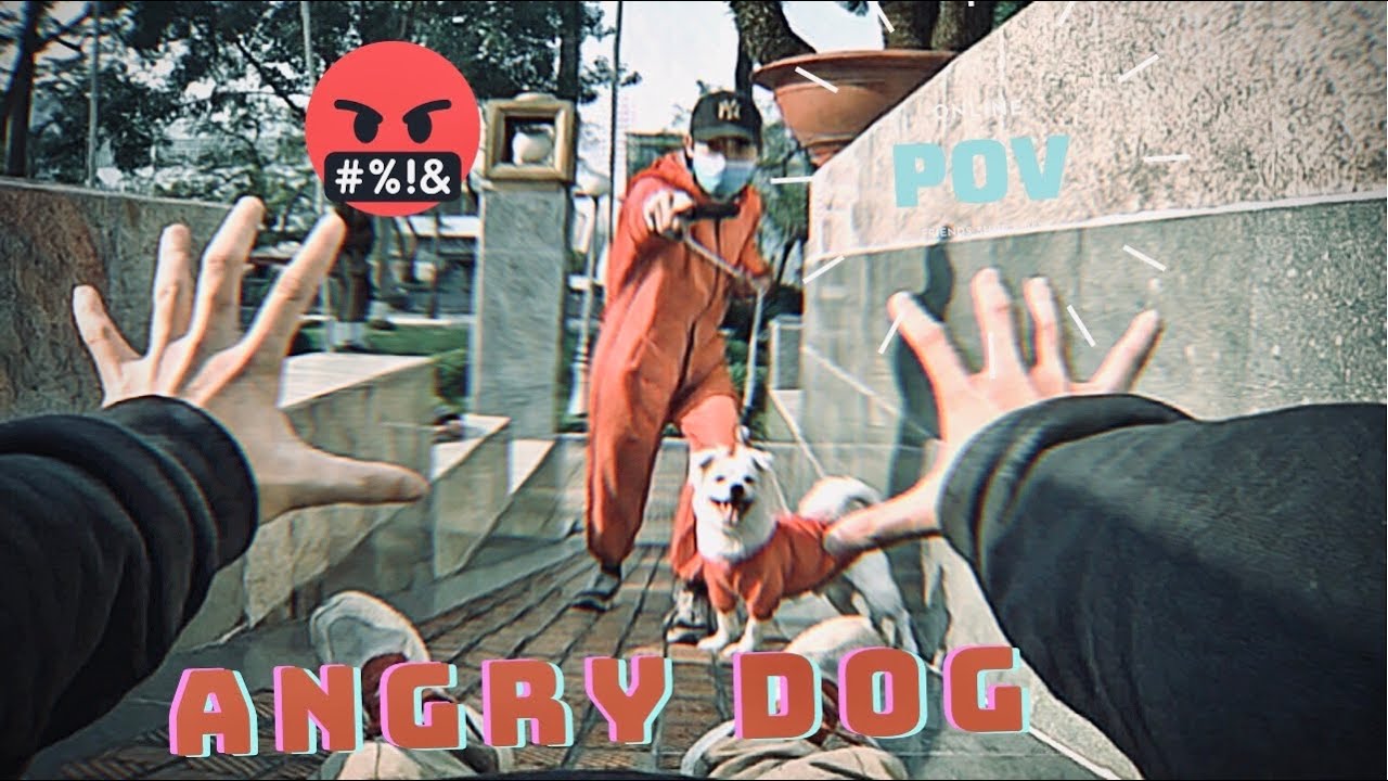 ESCAPING ANGRY DOG VIET NAM ( Parkour Action Pov ) | B2F | Đừng Trêu ...