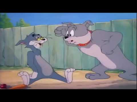 Tom and Jerry The Truce Hurts + The Truce Hurts Cartoon For Kids - YouTube