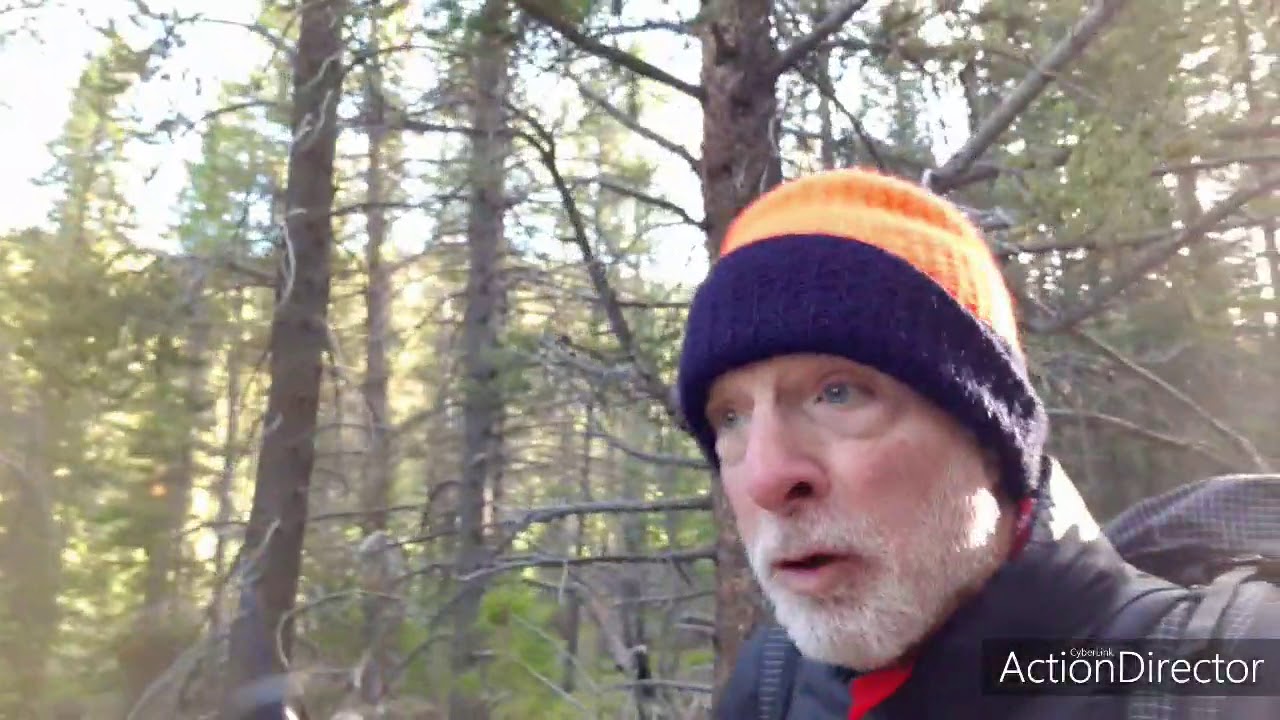 Colorado Trail - Cold Morning 7/7/2020 - YouTube