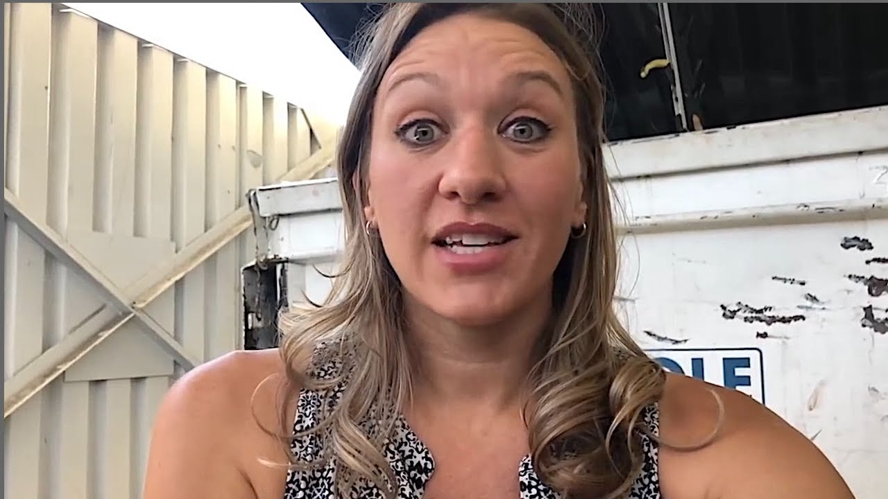 I went Dumpster Diving at 5 Popular Corporate stores - YouTube