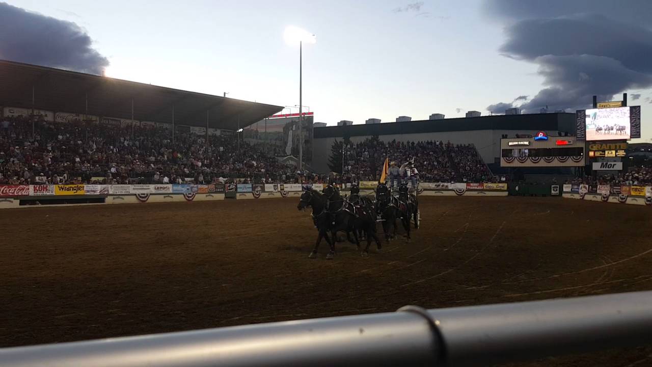 2016 Reno Rodeo- Percheron Thunder pt2 - YouTube