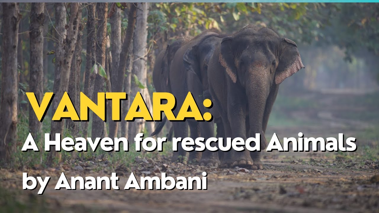 Vantara : A heaven for rescued animal by Anant Ambani - YouTube