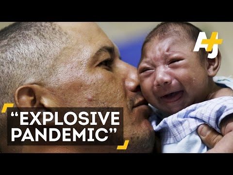 Zika Virus Could Turn Into \