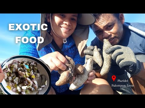 EXOTIC FOOD: Let's make a Filipino's Sea Cucumber Kinilaw | Catch ...