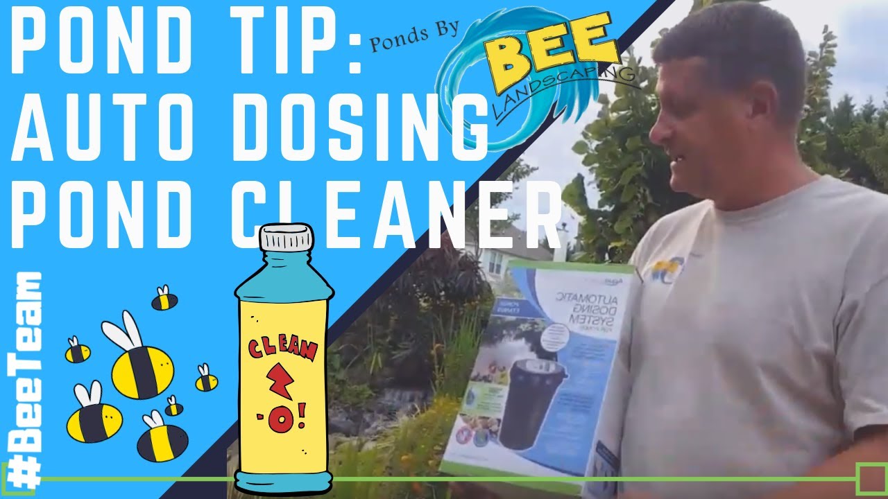 Product Review: Aquascape Automatic Dosing system Pond Cleaner - YouTube